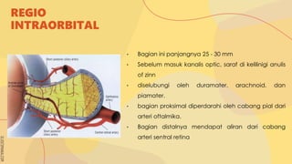 Anatomy & Physiology in Neuro-Ophthalmology.pptx