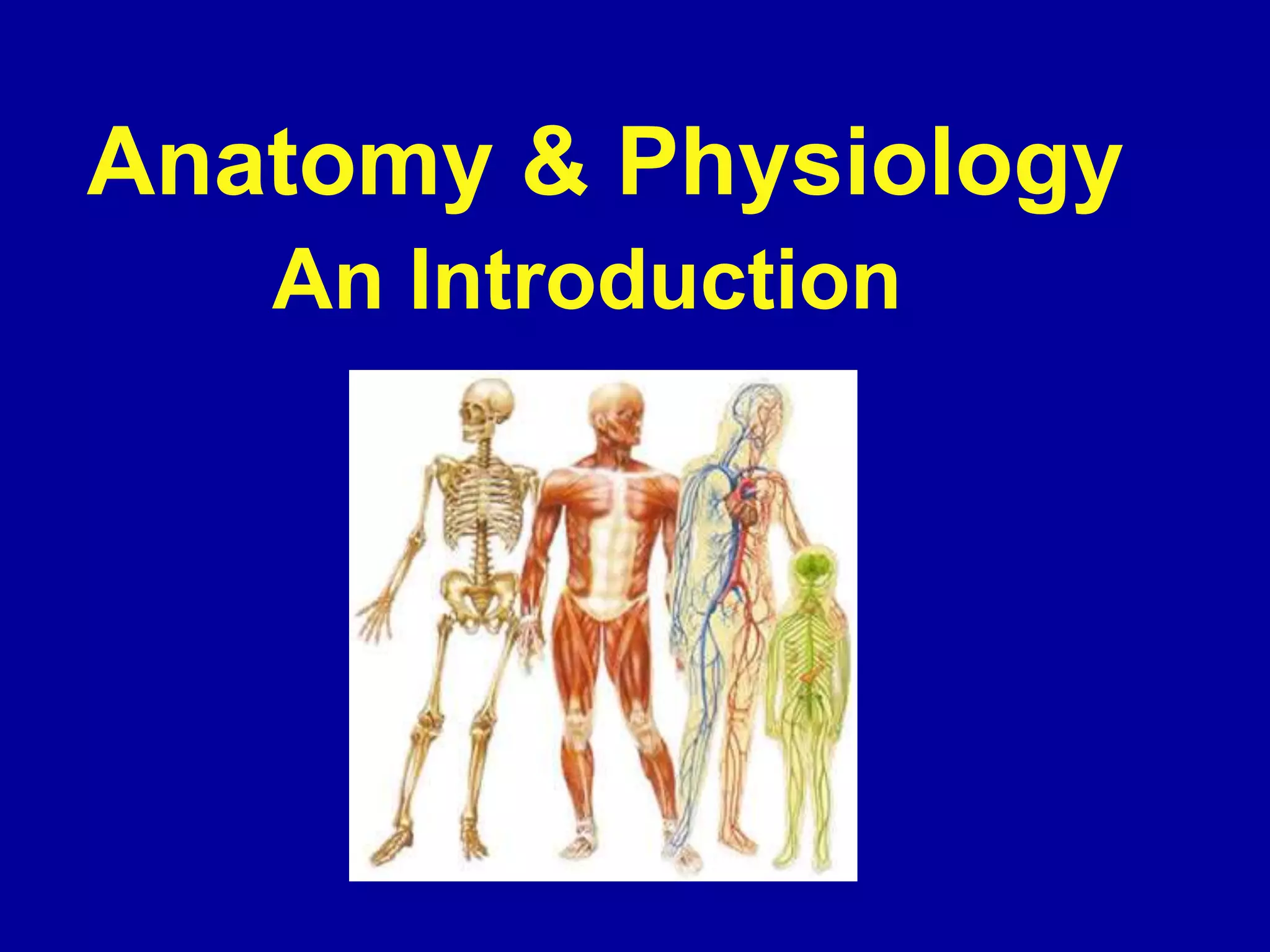 anatomy physiology intro. powerpoint (chapter 1).ppt anatomy physiology intro. powerpoint (chapter 1).ppt