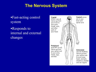 anatomy physiology intro. powerpoint (chapter 1).ppt