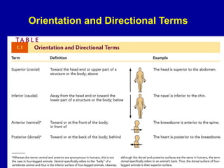 anatomy physiology intro. powerpoint (chapter 1).ppt