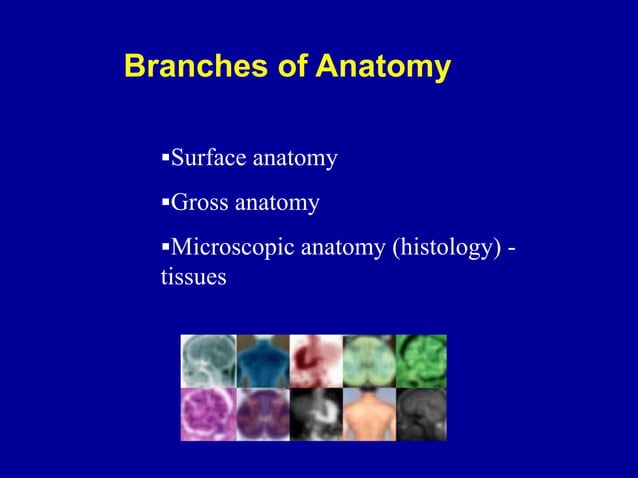 anatomy physiology intro. powerpoint (chapter 1).ppt