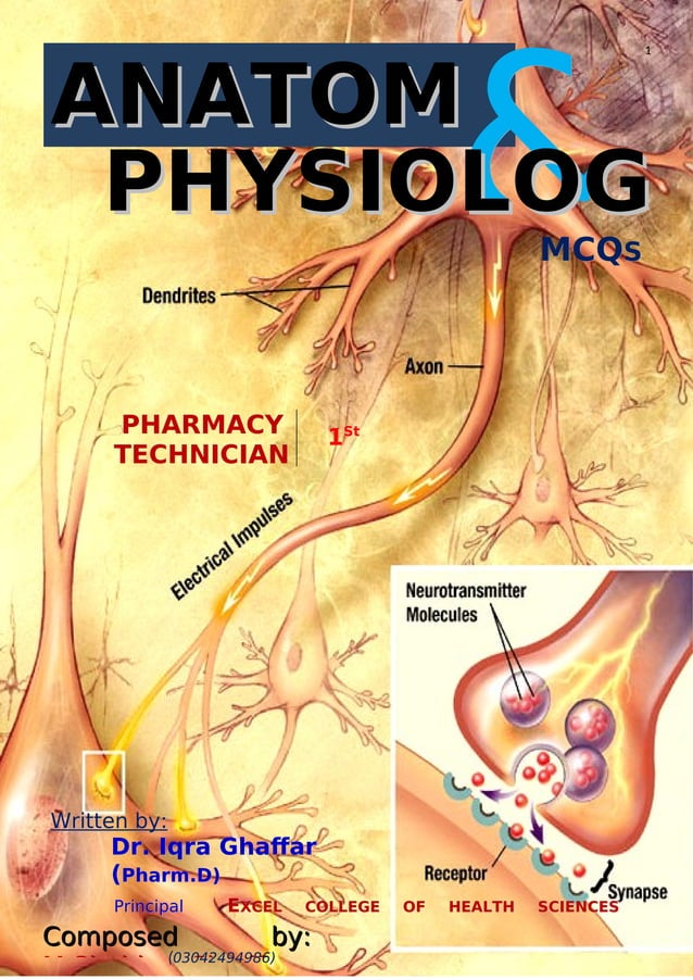 Anatomy & Physiology MCQs (2).pdf | Biological Sciences | Science