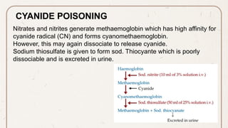 Anatomy & Physiology Newsletter by Slidesgo-2-2.pptx