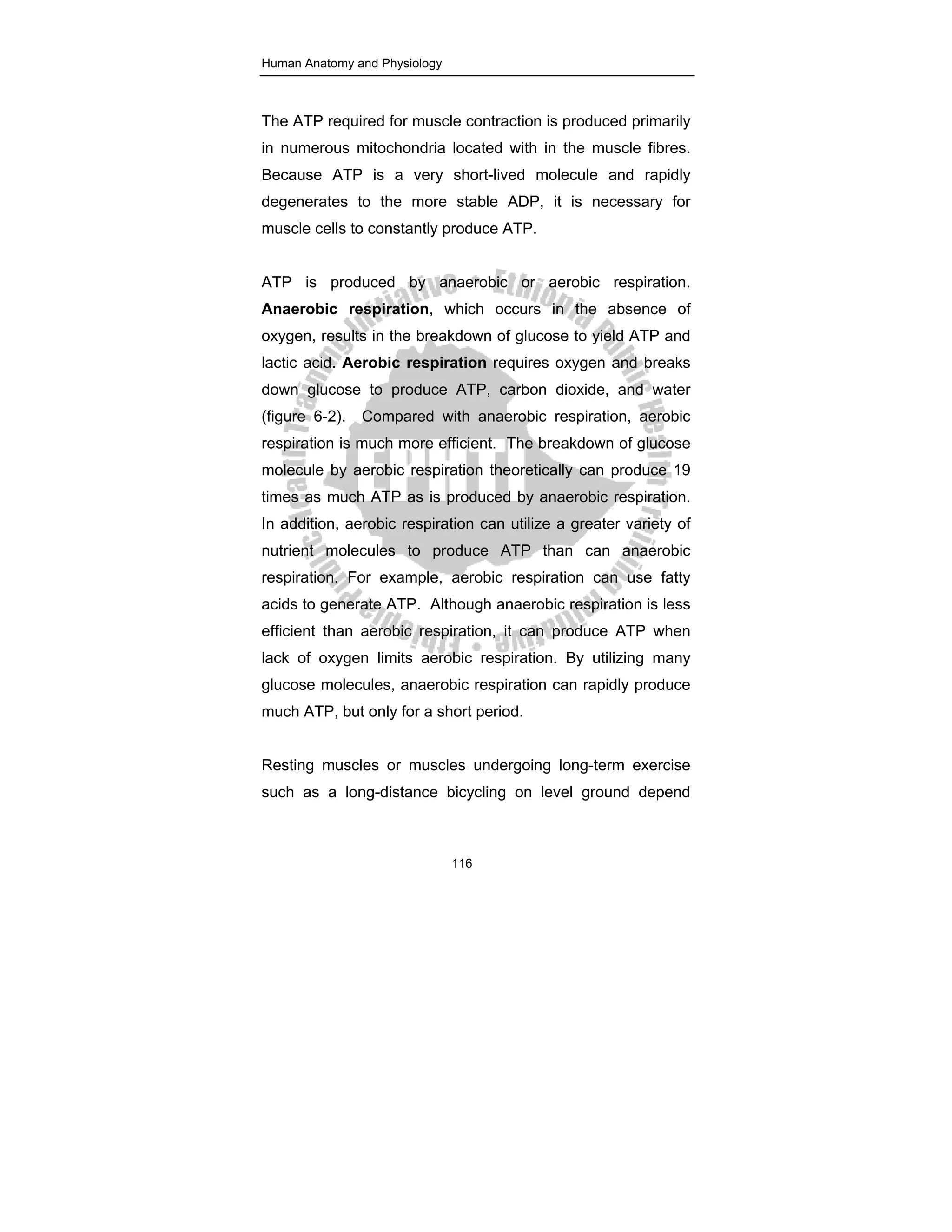 ANATOMY PHYSIOLOGY NOTES.pdf