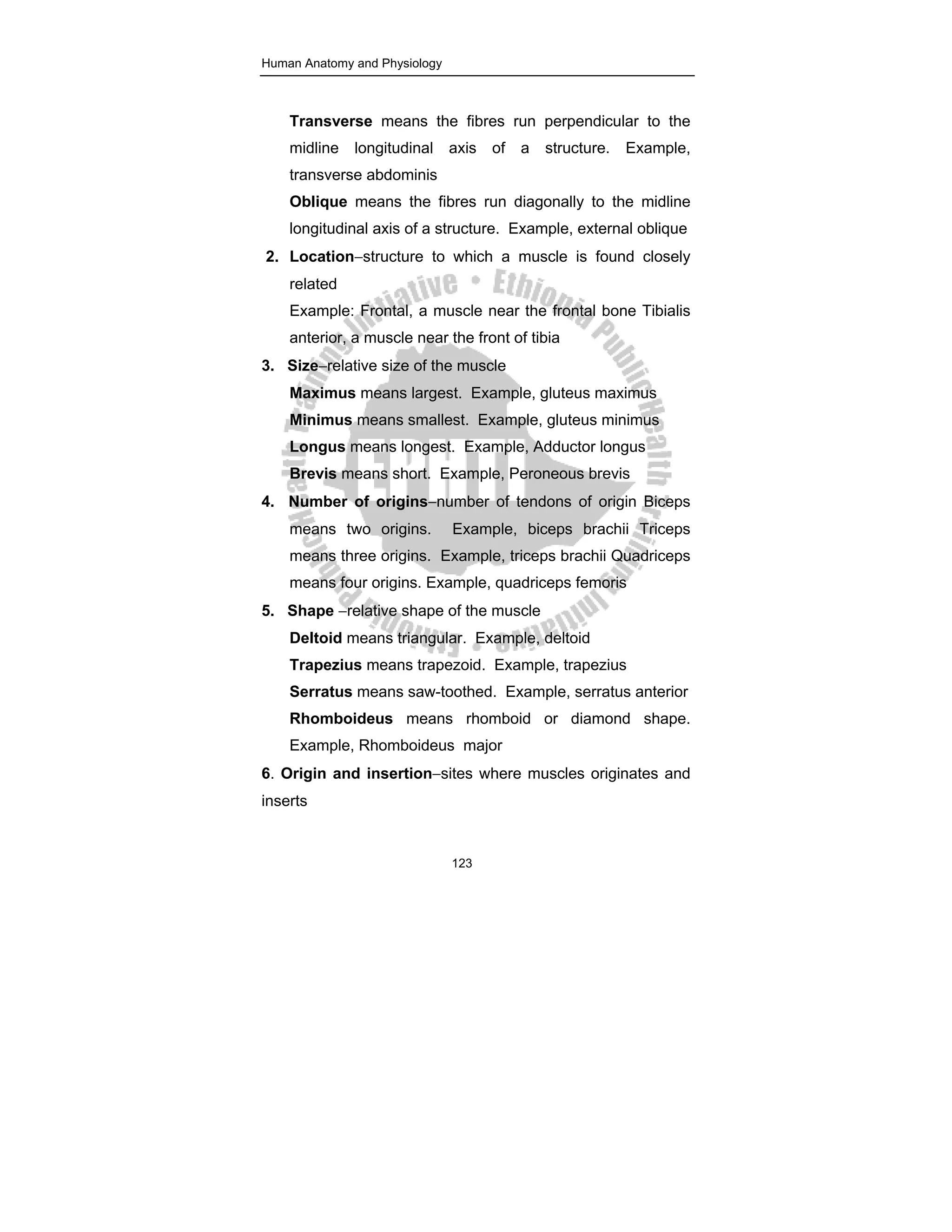 ANATOMY PHYSIOLOGY NOTES.pdf