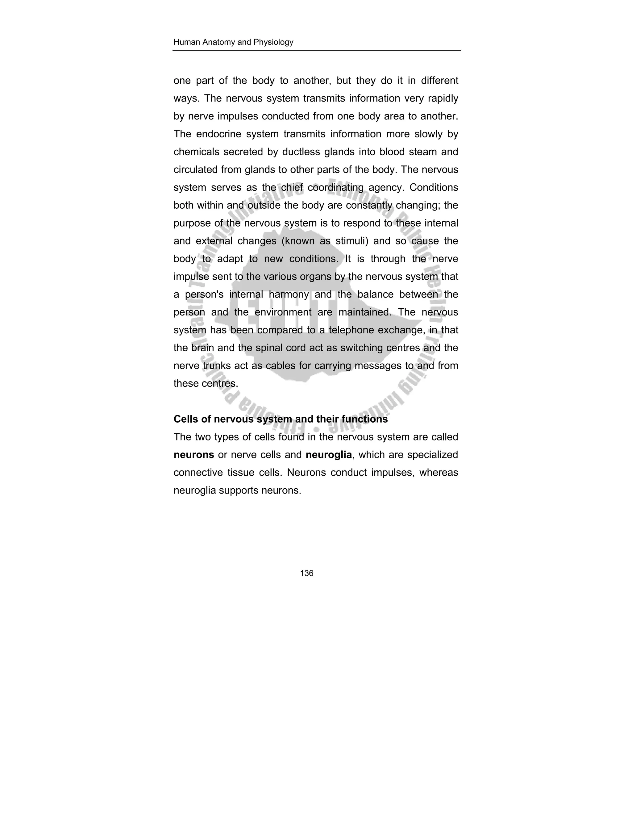 ANATOMY PHYSIOLOGY NOTES.pdf