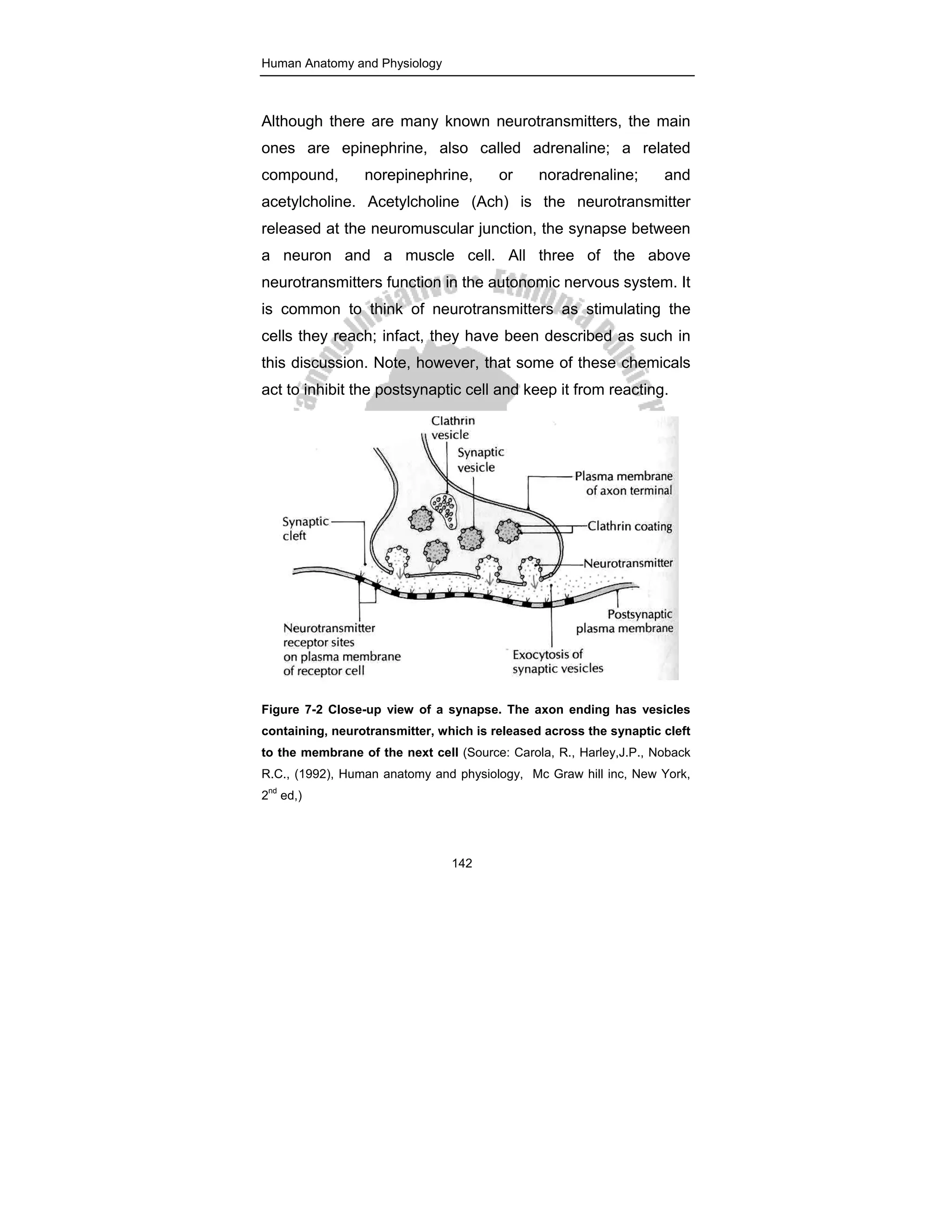 ANATOMY PHYSIOLOGY NOTES.pdf