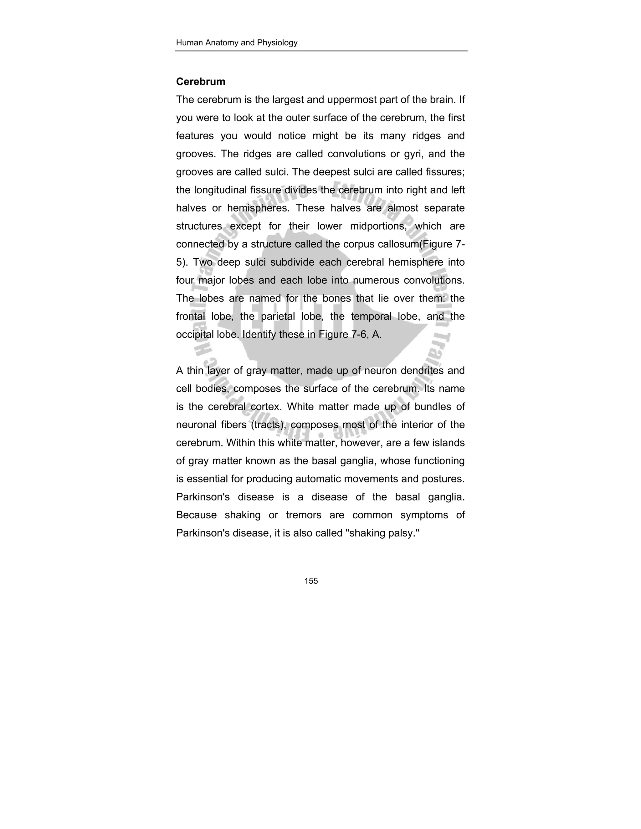 ANATOMY PHYSIOLOGY NOTES.pdf