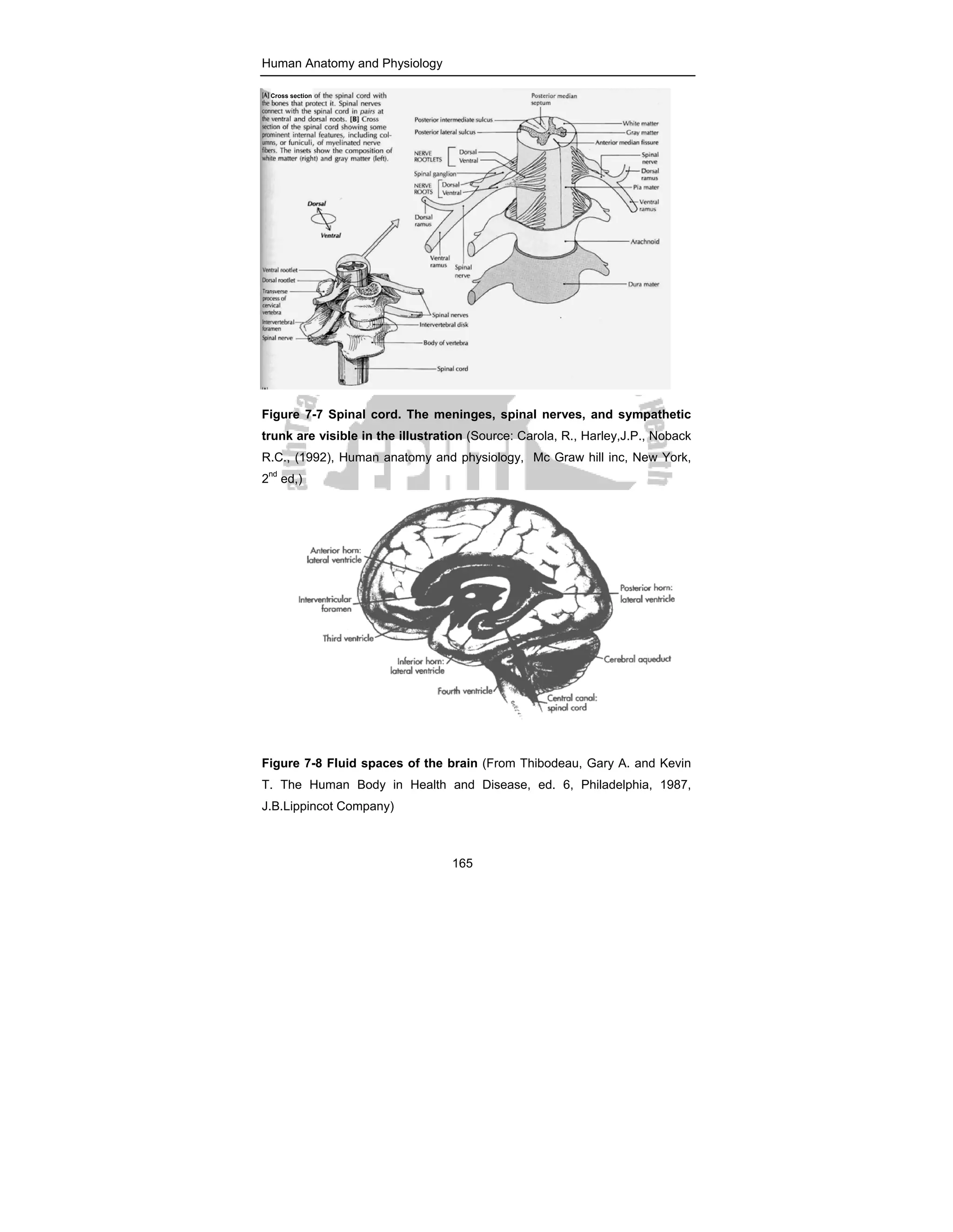 ANATOMY PHYSIOLOGY NOTES.pdf