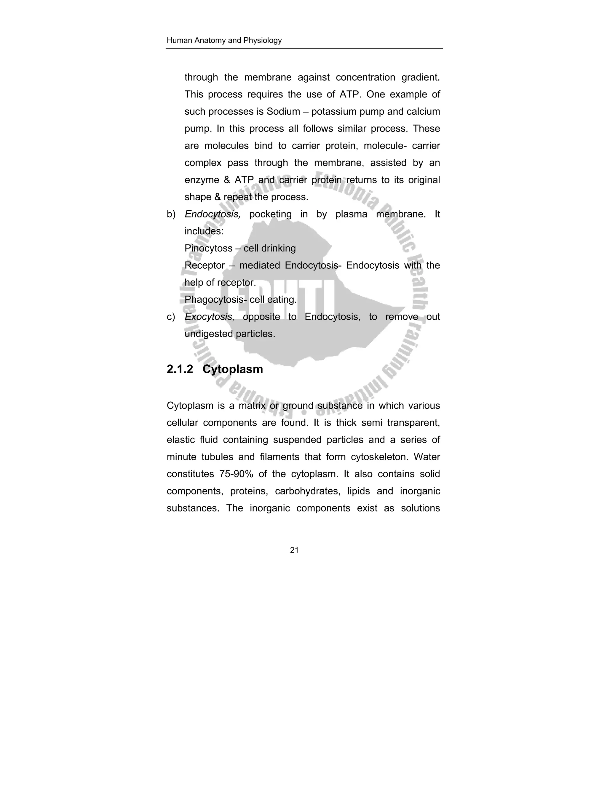 ANATOMY PHYSIOLOGY NOTES.pdf