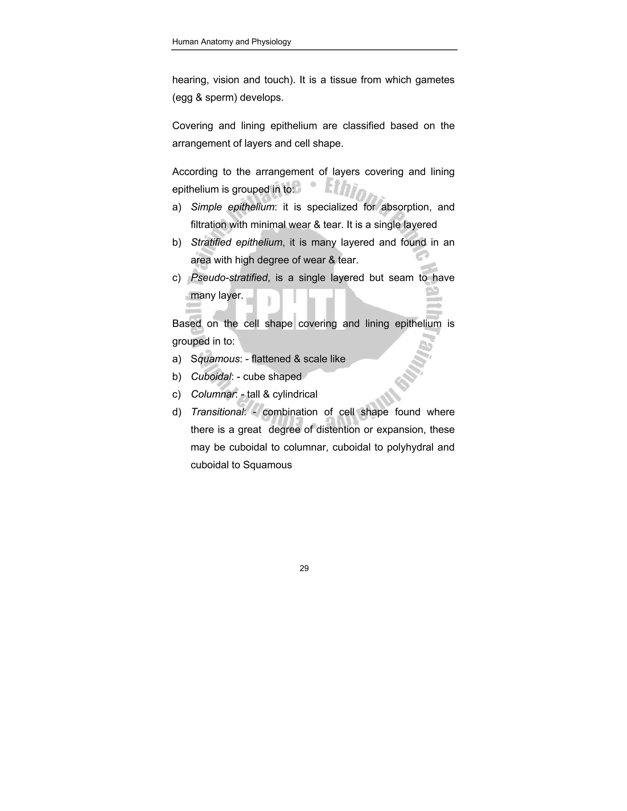 ANATOMY PHYSIOLOGY NOTES.pdf