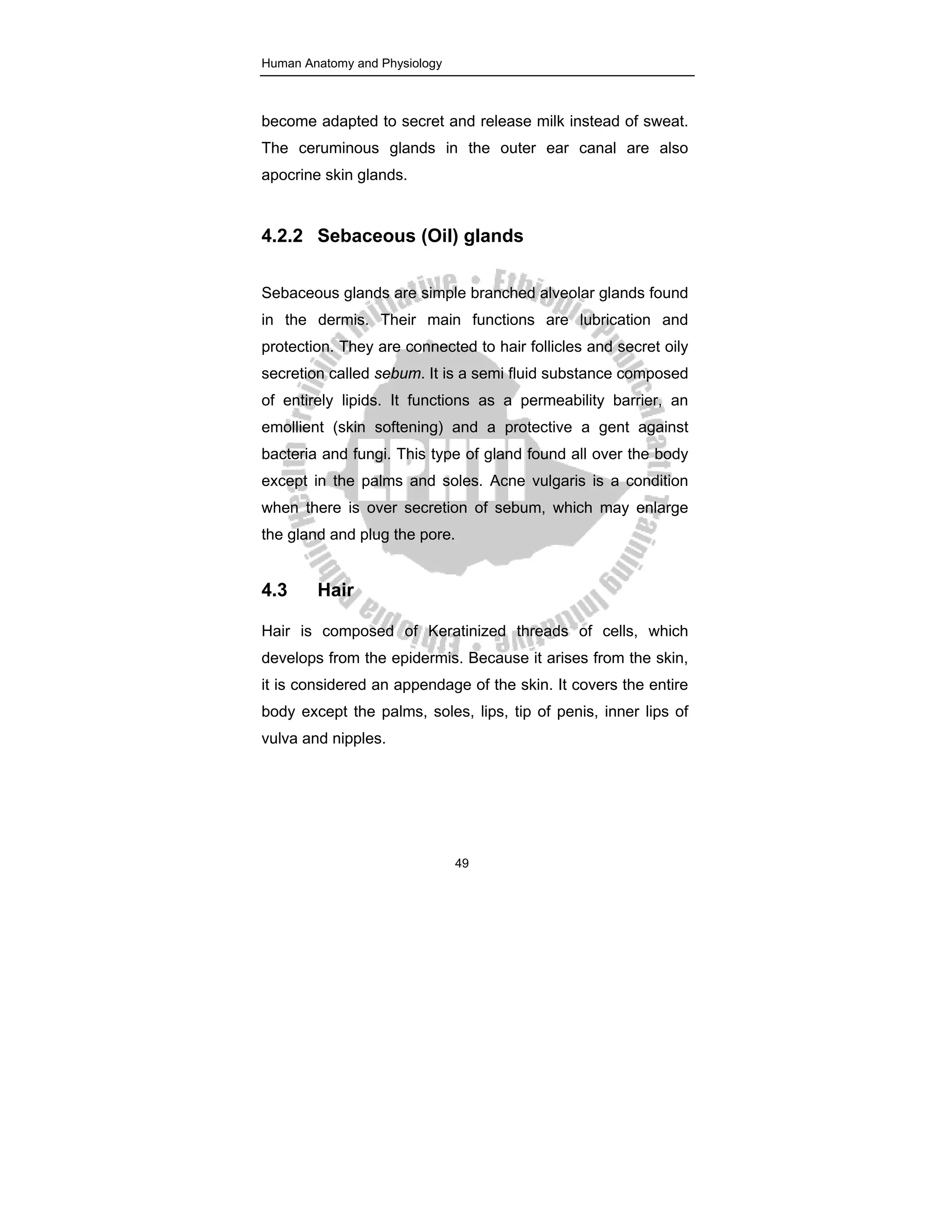 ANATOMY PHYSIOLOGY NOTES.pdf