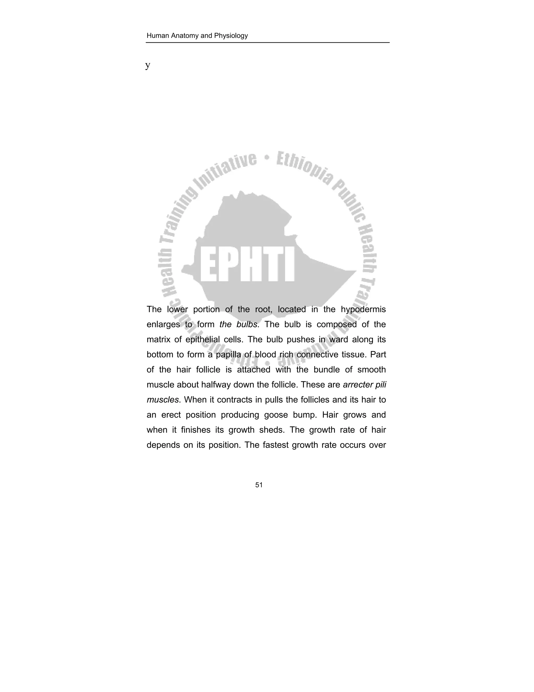 ANATOMY PHYSIOLOGY NOTES.pdf