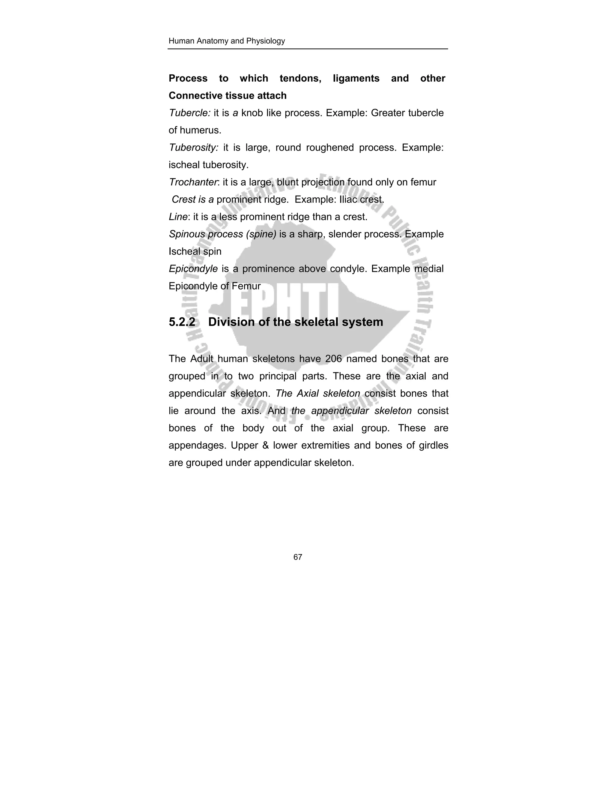 ANATOMY PHYSIOLOGY NOTES.pdf