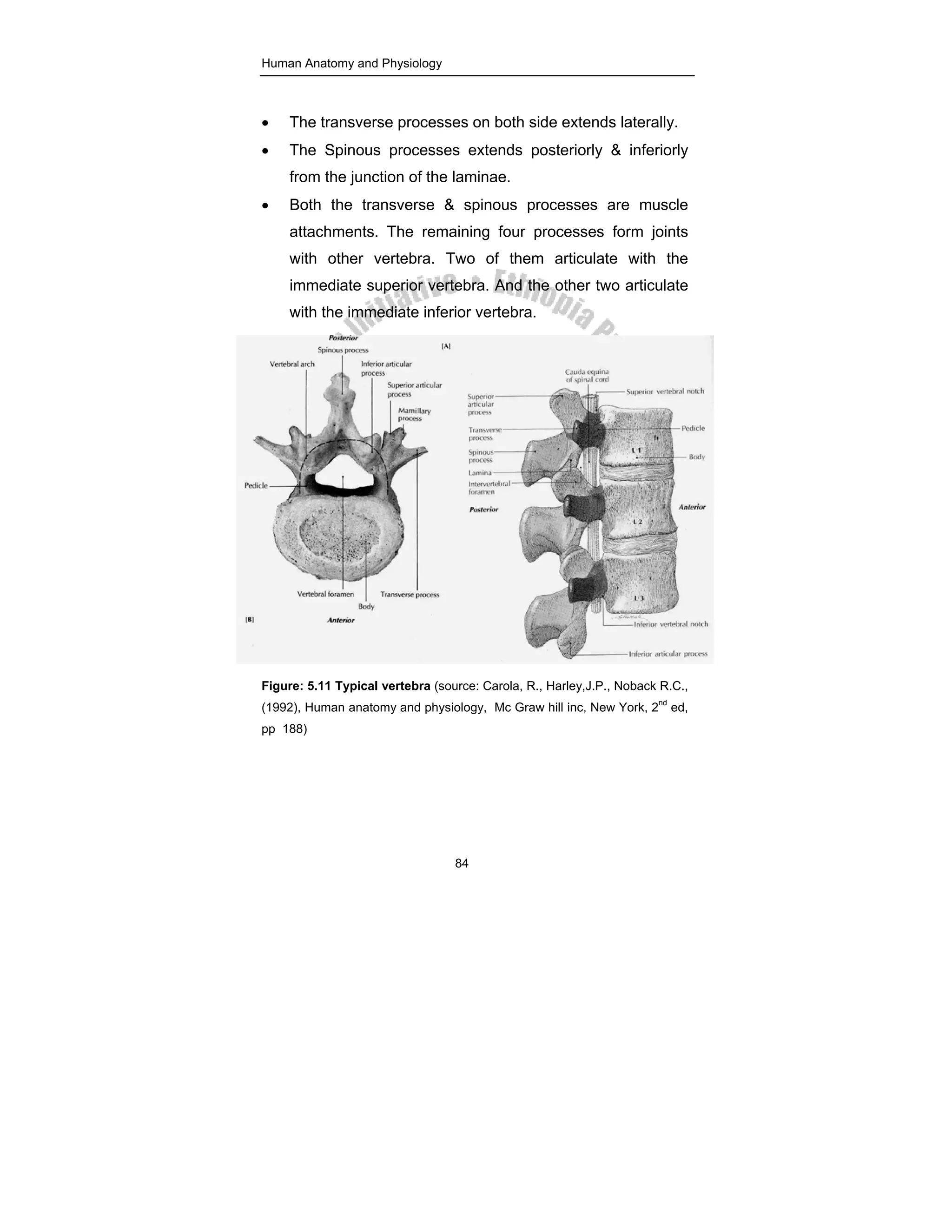 ANATOMY PHYSIOLOGY NOTES.pdf