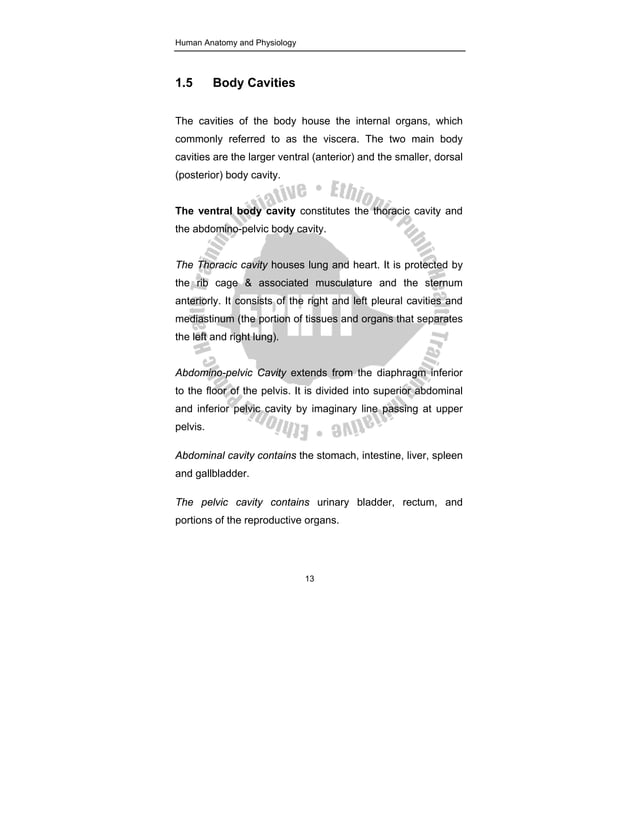 ANATOMY PHYSIOLOGY NOTES.pdf | Biological Sciences | Science