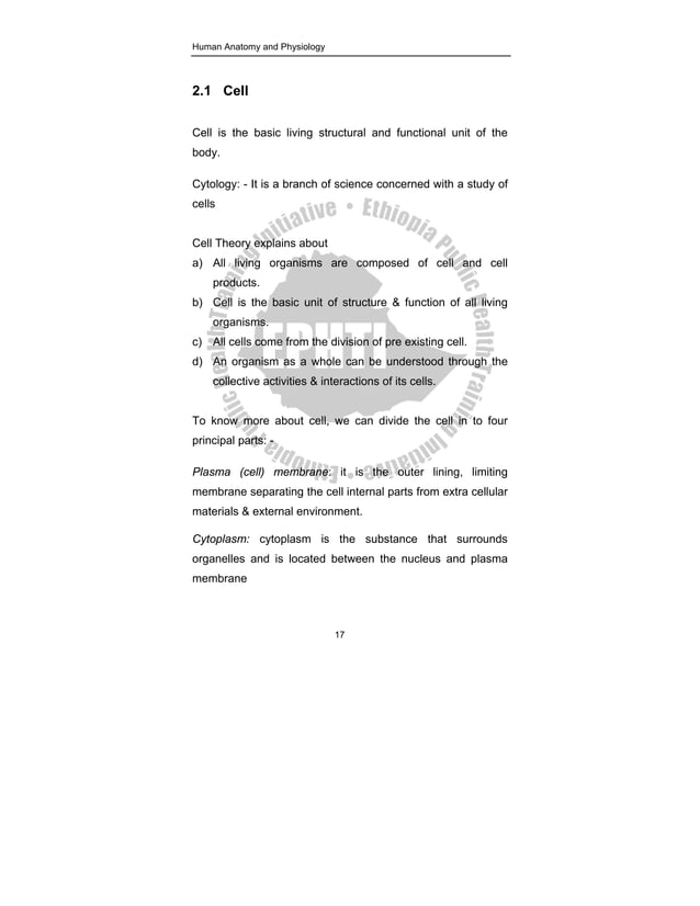 ANATOMY PHYSIOLOGY NOTES.pdf | Biological Sciences | Science