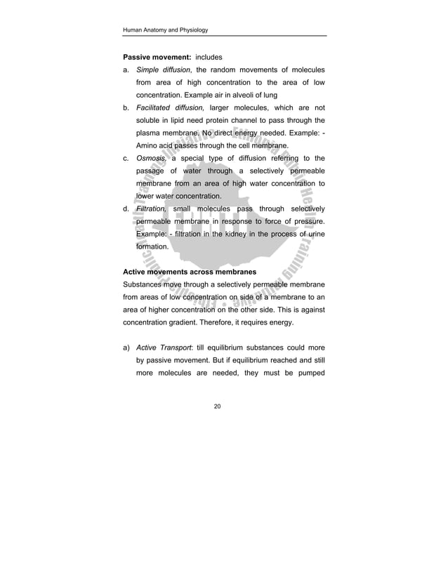 ANATOMY PHYSIOLOGY NOTES.pdf | Biological Sciences | Science