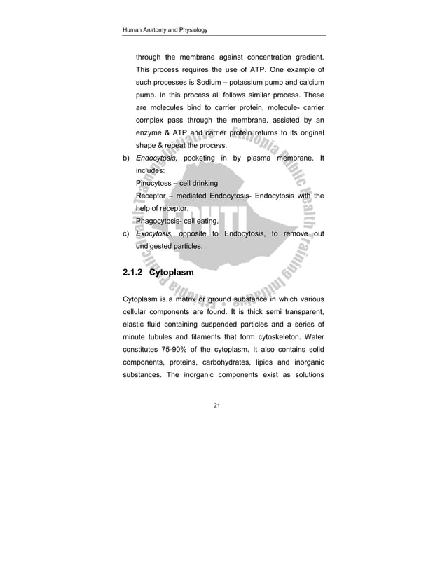 Anatomy Physiology Notes Pdf Biological Sciences Science