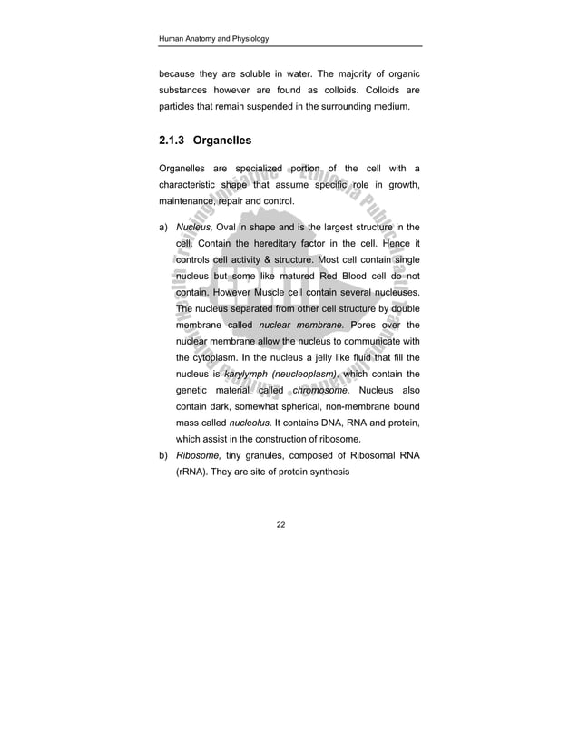 ANATOMY PHYSIOLOGY NOTES.pdf | Biological Sciences | Science