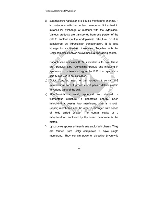 ANATOMY PHYSIOLOGY NOTES.pdf | Biological Sciences | Science