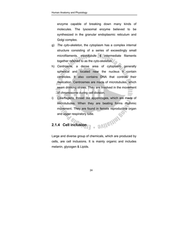 ANATOMY PHYSIOLOGY NOTES.pdf | Biological Sciences | Science