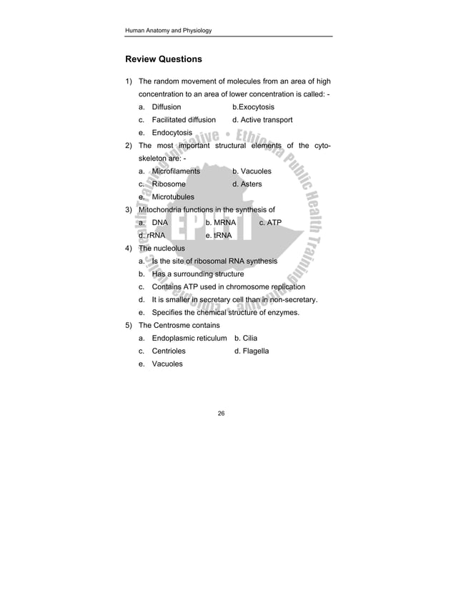 ANATOMY PHYSIOLOGY NOTES.pdf | Biological Sciences | Science