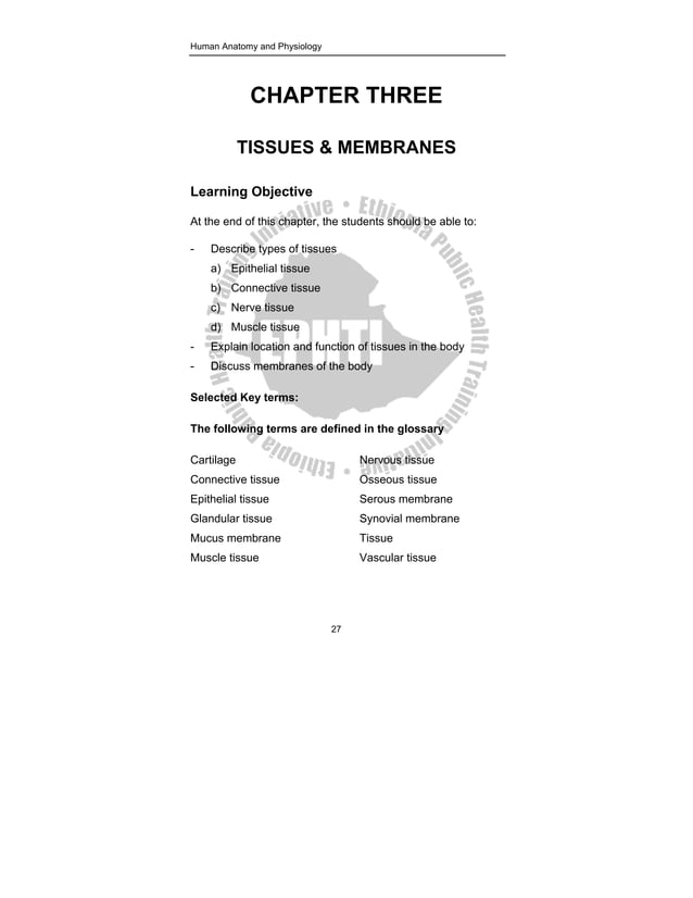 ANATOMY PHYSIOLOGY NOTES.pdf | Biological Sciences | Science