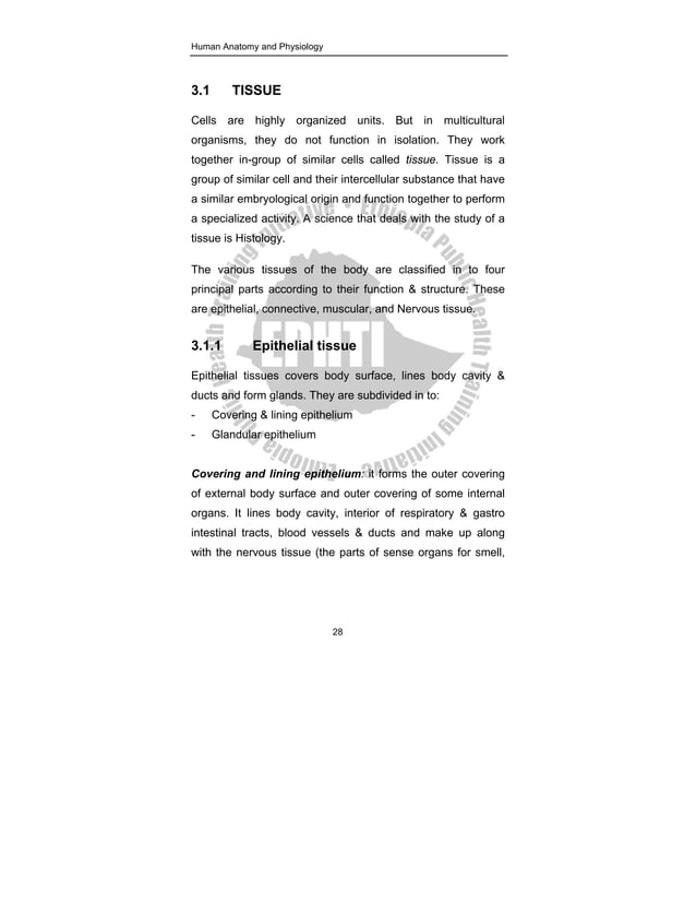 ANATOMY PHYSIOLOGY NOTES.pdf | Biological Sciences | Science