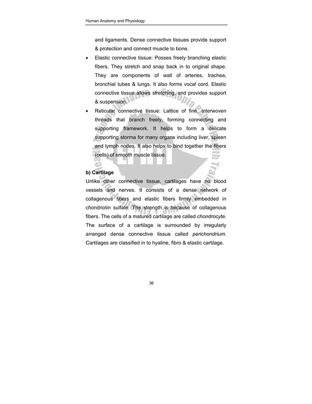 ANATOMY PHYSIOLOGY NOTES.pdf | Biological Sciences | Science