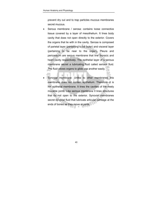 ANATOMY PHYSIOLOGY NOTES.pdf