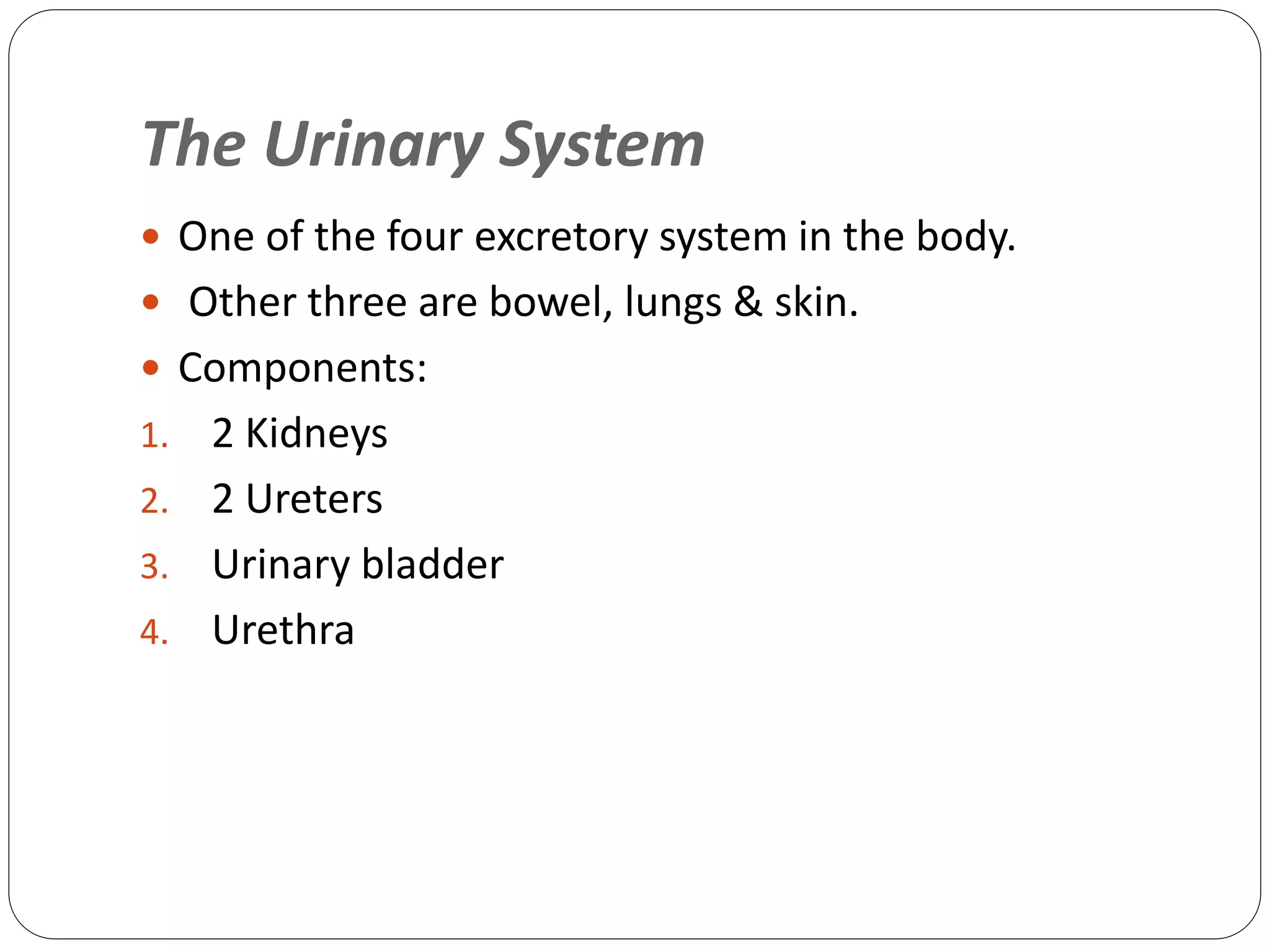 Anatomy & physiology of Urinary System ppt | PPTX | Chemistry | Science