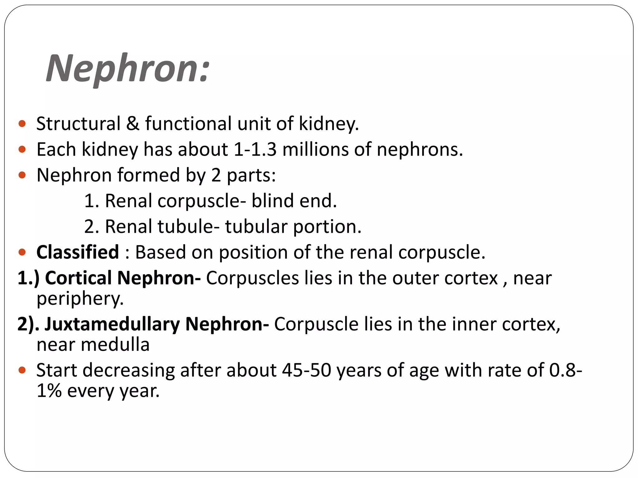 Anatomy & physiology of Urinary System ppt | PPTX