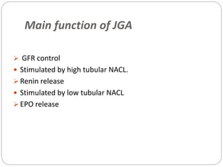 Anatomy & physiology of Urinary System ppt | PPTX | Chemistry | Science