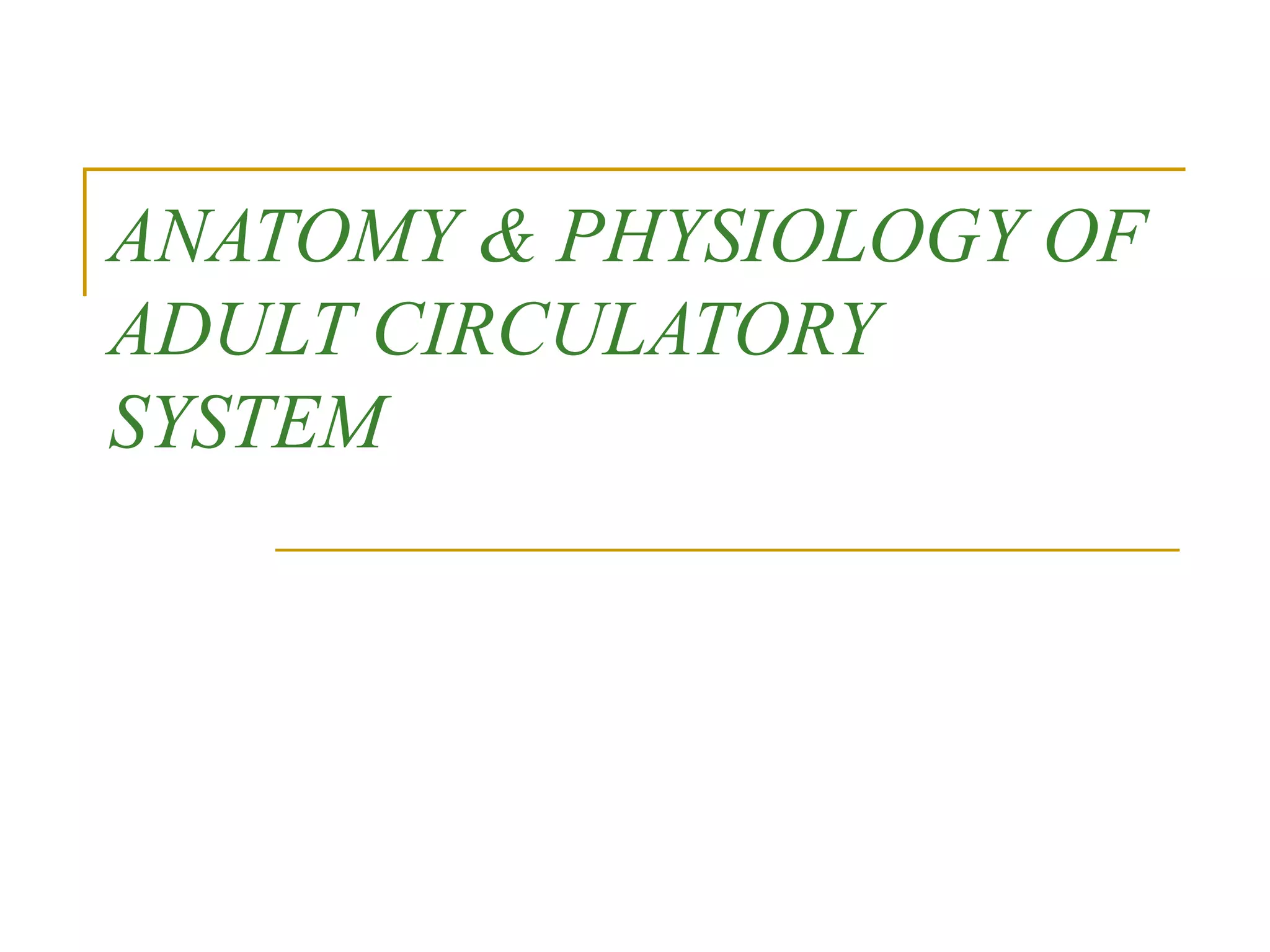ANATOMY & PHYSIOLOGY OF ADULT CIRCULATORY SYSTEM.ppt
