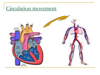 ANATOMY & PHYSIOLOGY OF ADULT CIRCULATORY SYSTEM.ppt
