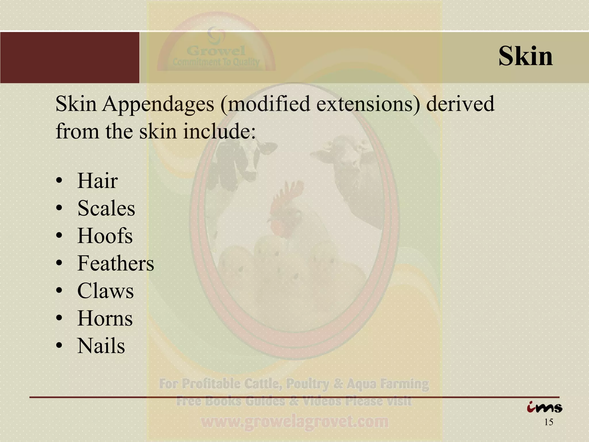 Anatomy & Physiology of Animals | PDF