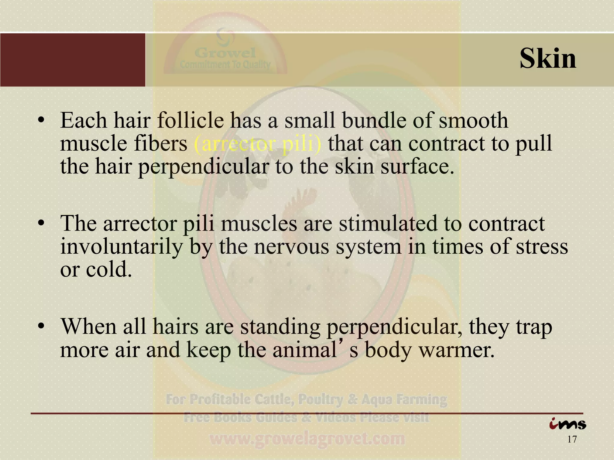 Anatomy & Physiology of Animals | PDF