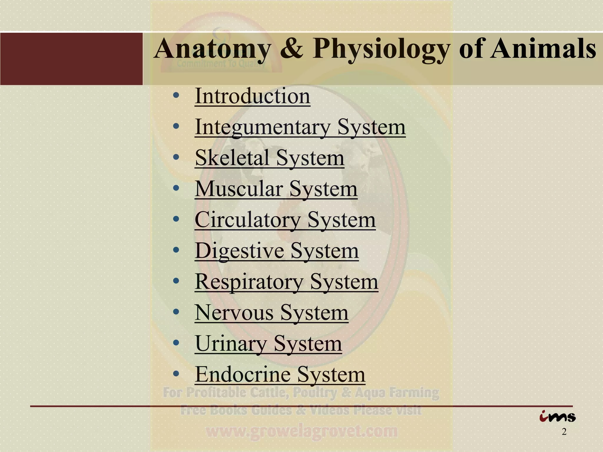 Anatomy & Physiology of Animals | PDF