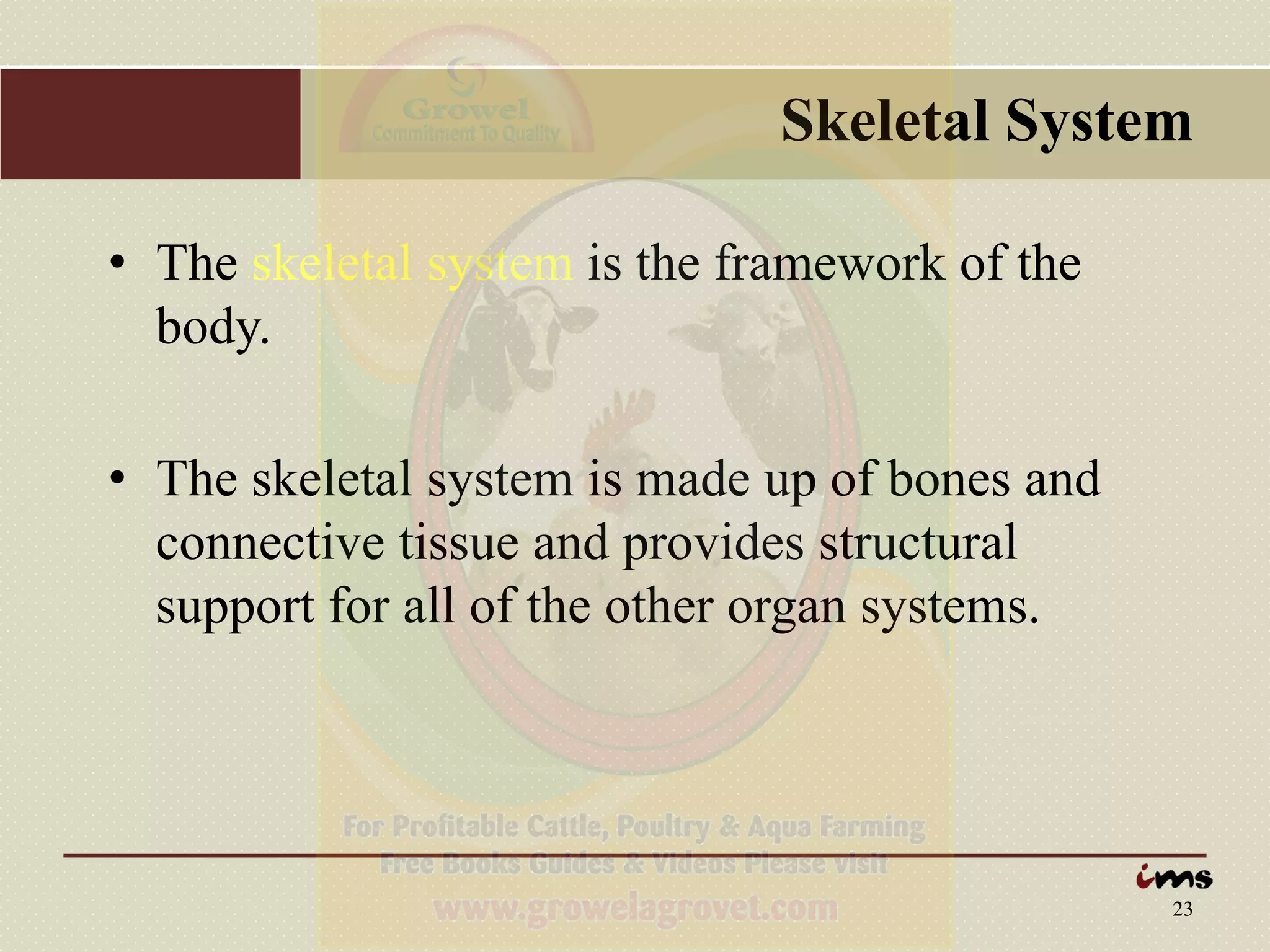 Anatomy & Physiology of Animals | PDF