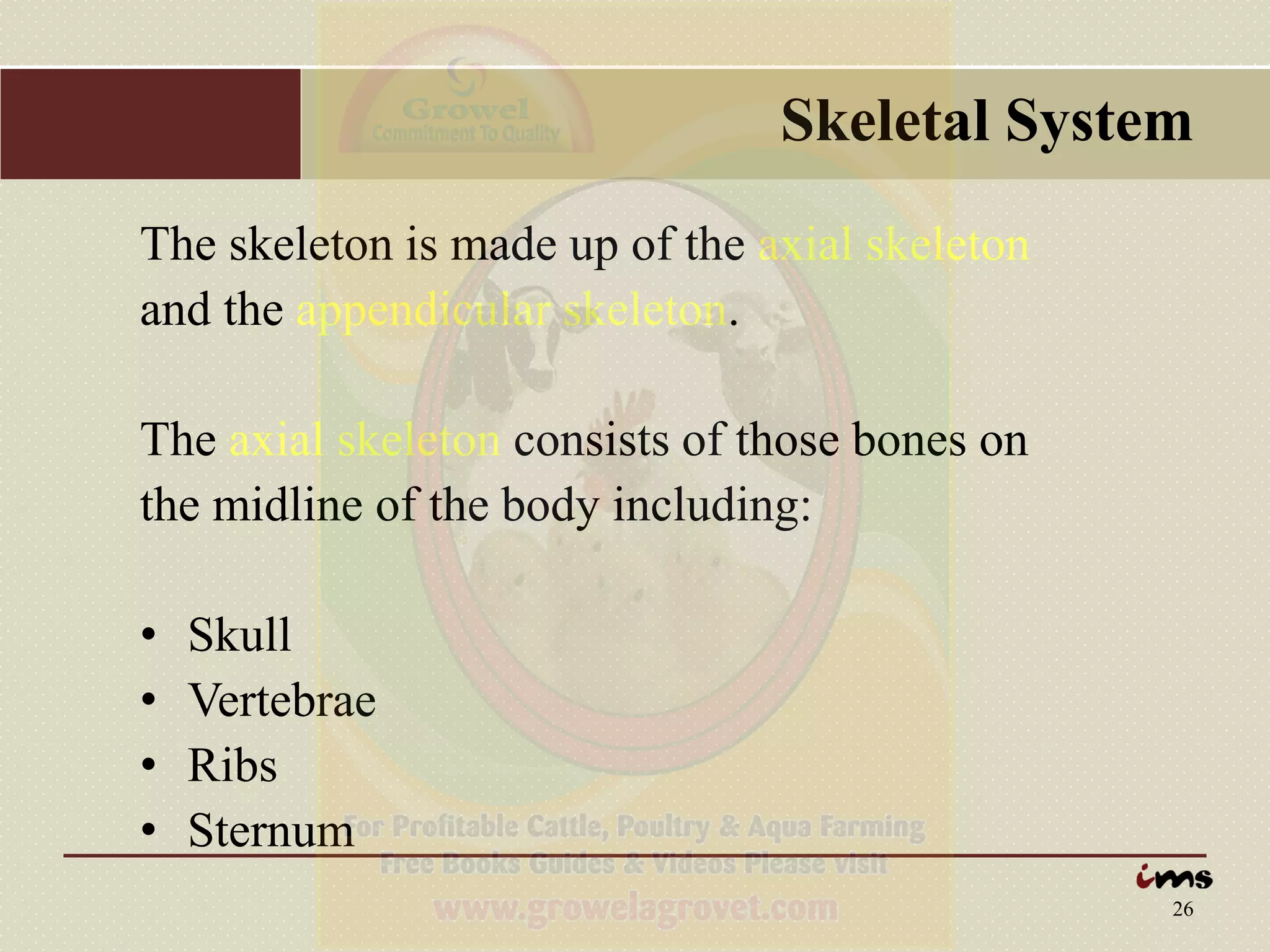 Anatomy & Physiology of Animals | PDF
