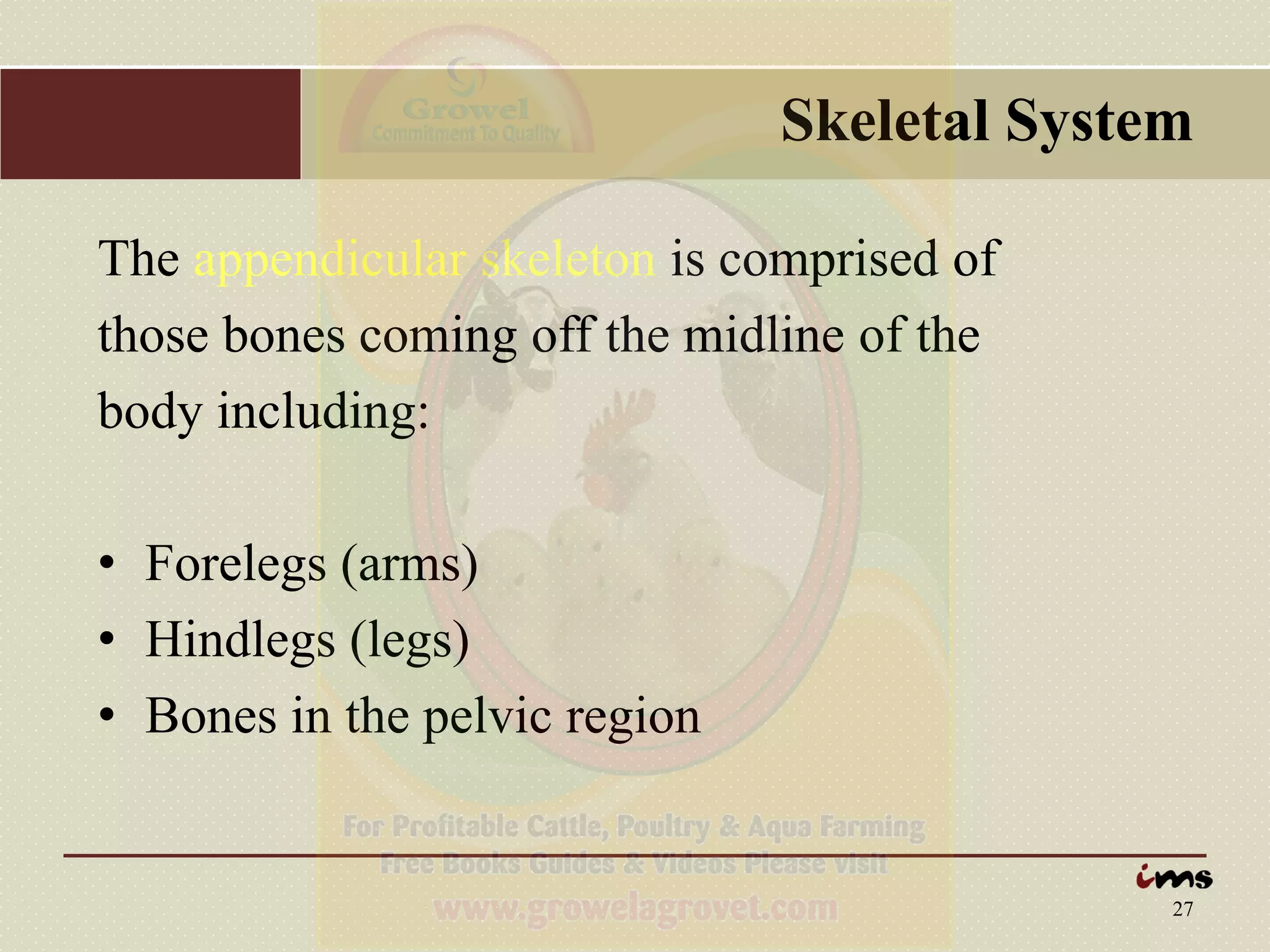 Anatomy & Physiology of Animals | PDF