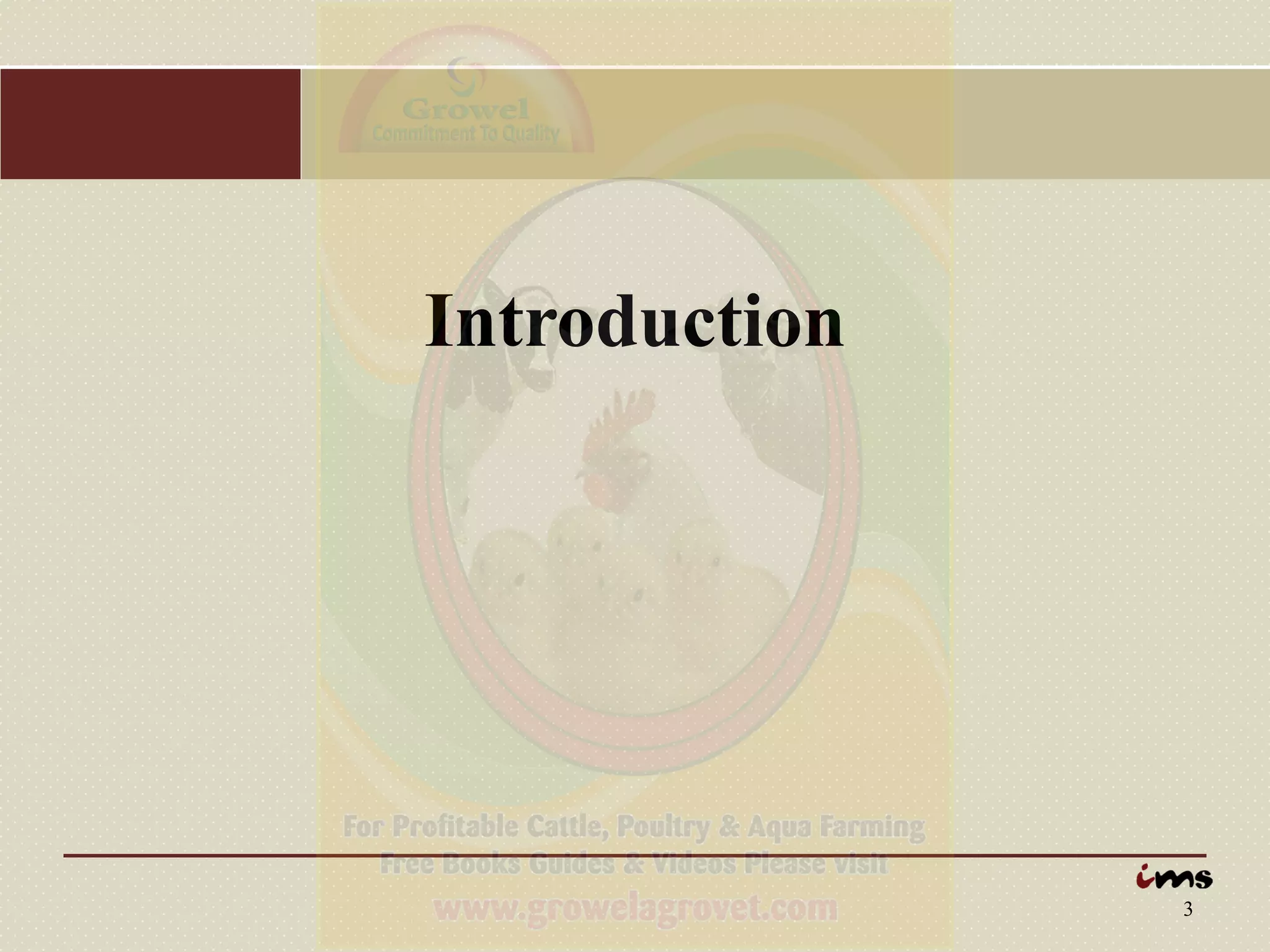 Anatomy & Physiology of Animals | PDF