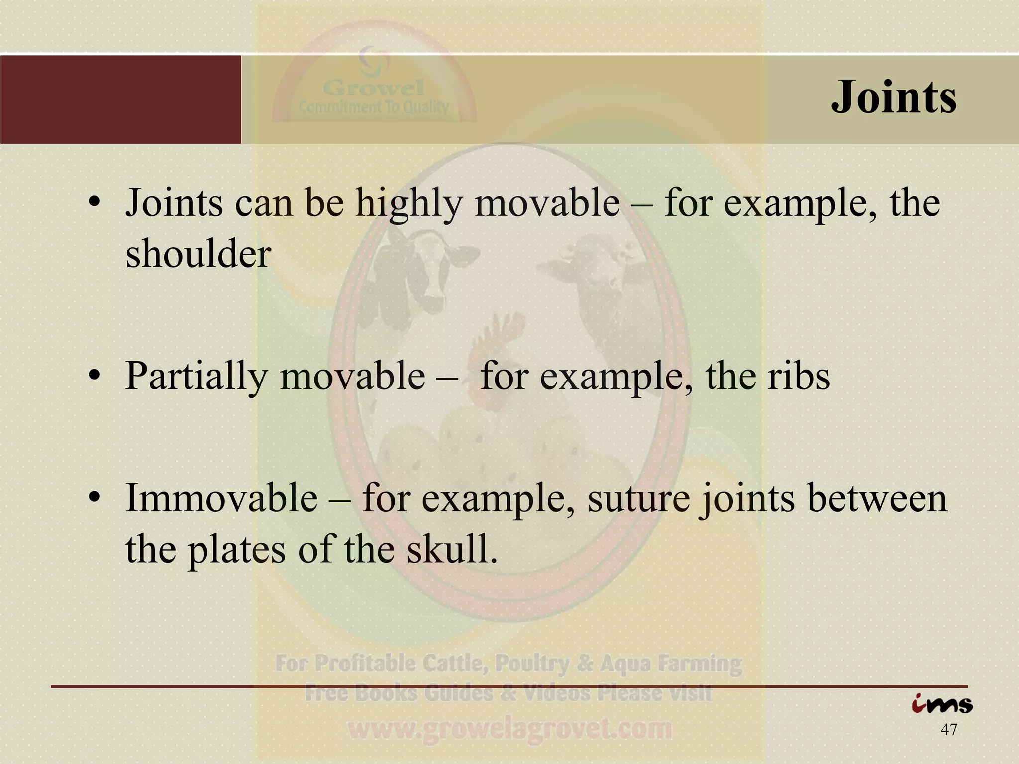 Anatomy & Physiology of Animals | PDF