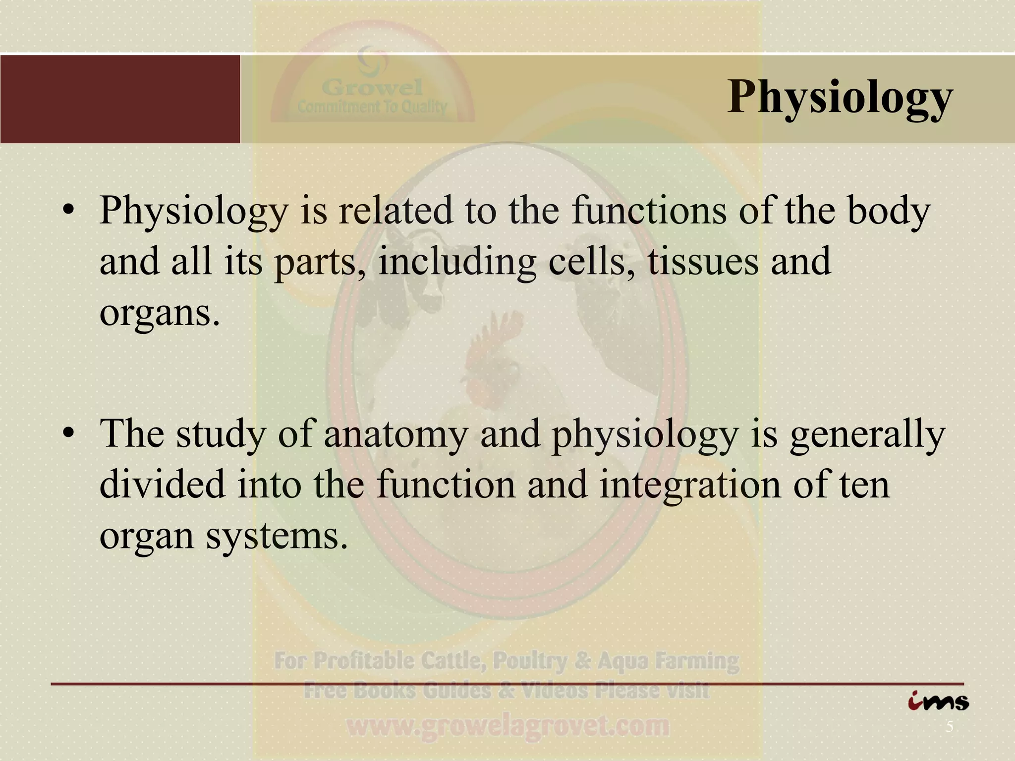 Anatomy & Physiology of Animals | PDF