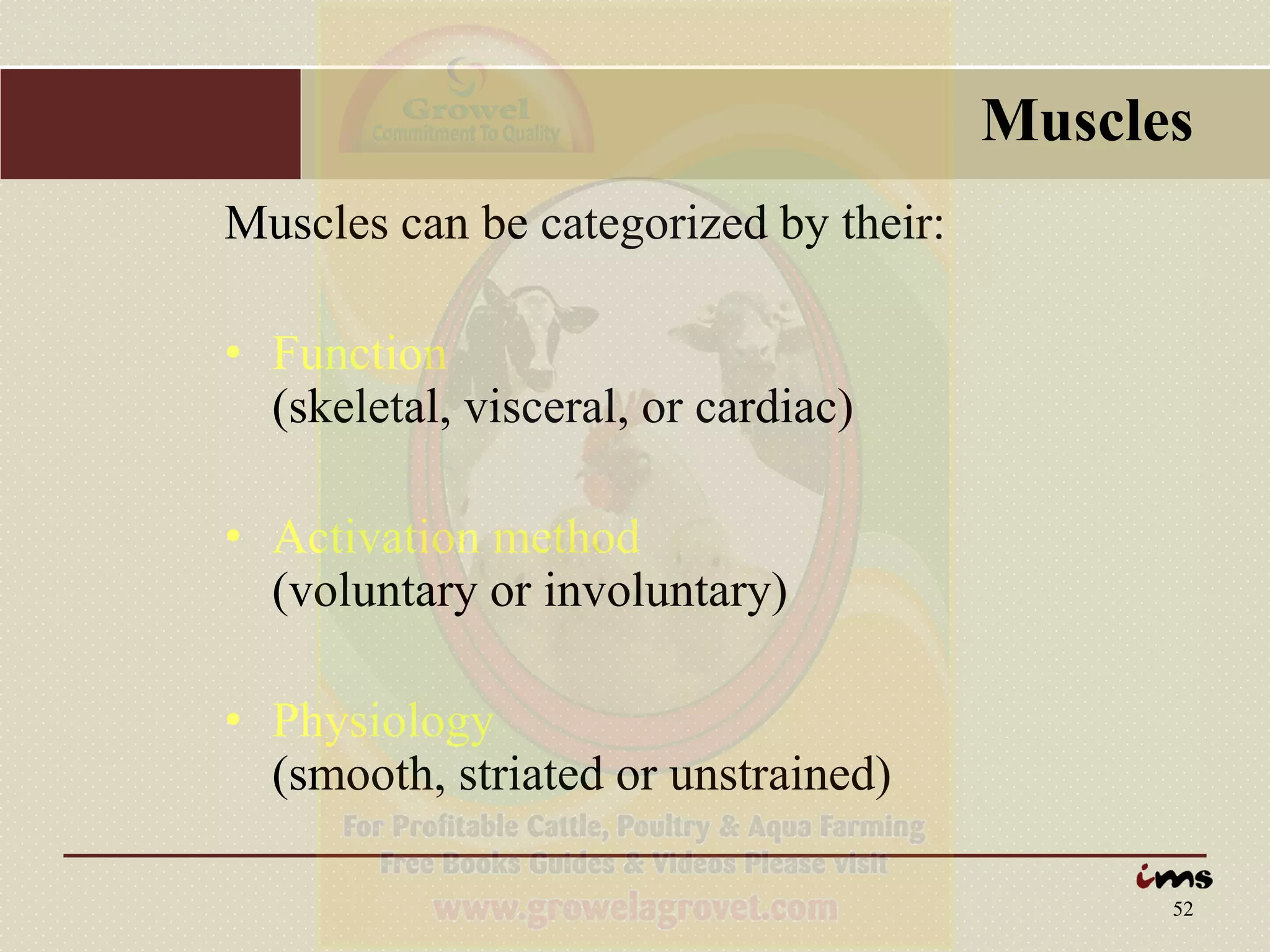 Anatomy & Physiology of Animals | PDF