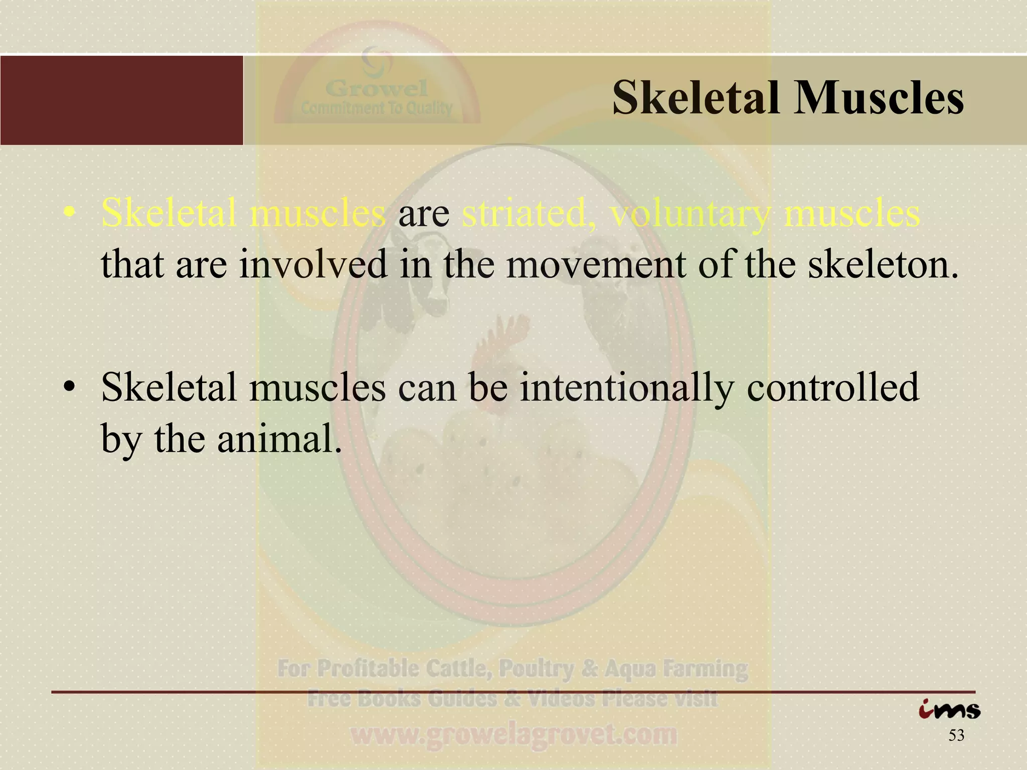 Anatomy & Physiology of Animals | PDF