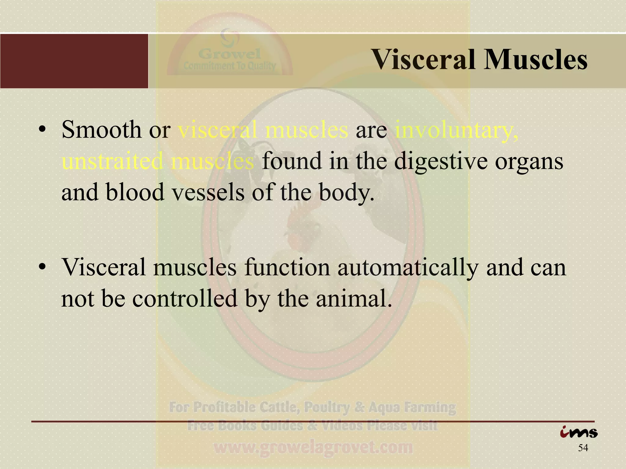 Anatomy & Physiology of Animals | PDF