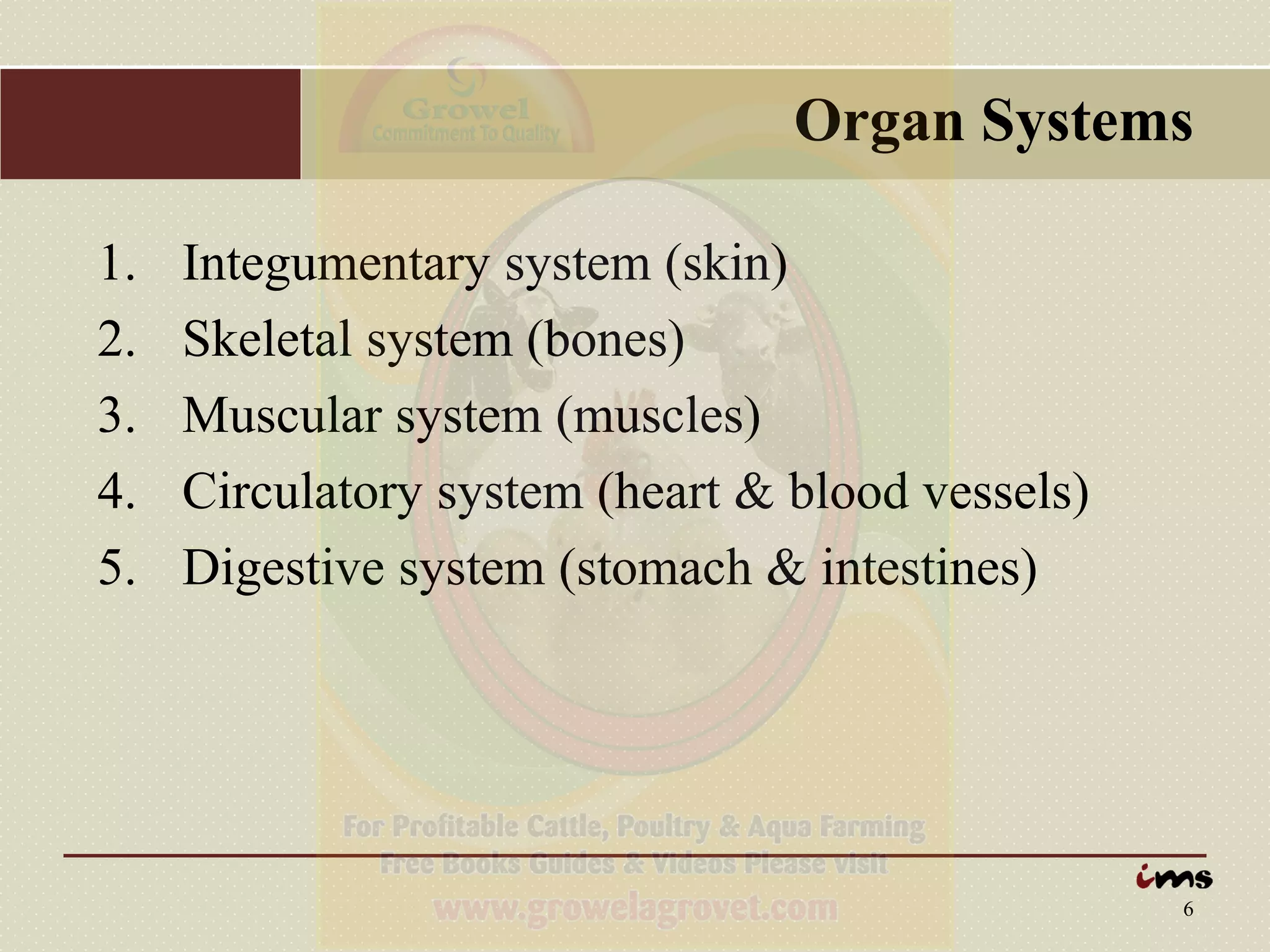 Anatomy & Physiology of Animals | PDF