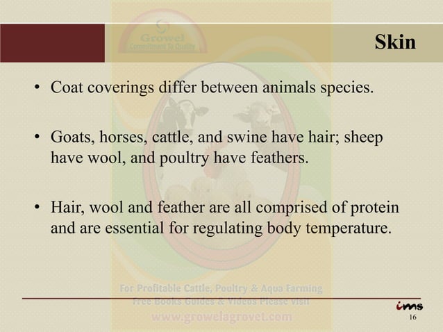 Anatomy & Physiology of Animals | PDF